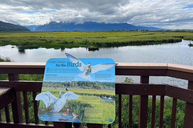Whittier to Anchorage Land Transfer Tour With AWCC - An In-Depth Look at the Itinerary