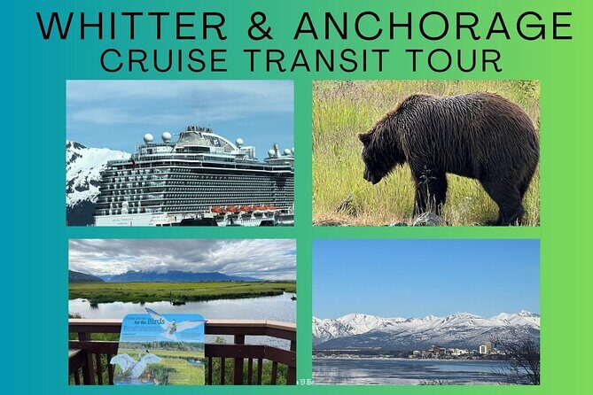 Whittier to Anchorage Land Transfer Tour With AWCC - Authentic Experiences and Helpful Tips