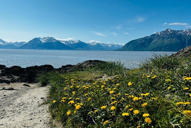 Whittier to Anchorage Land Transfer Tour With AWCC - Who Should Book This Tour?