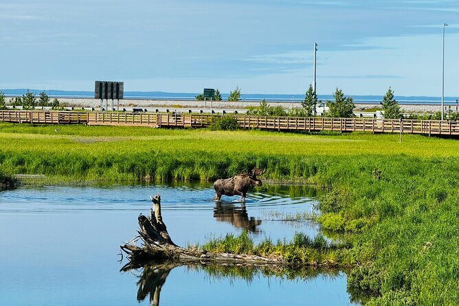 Whittier to Anchorage Land Transfer Tour With AWCC - Final Thoughts