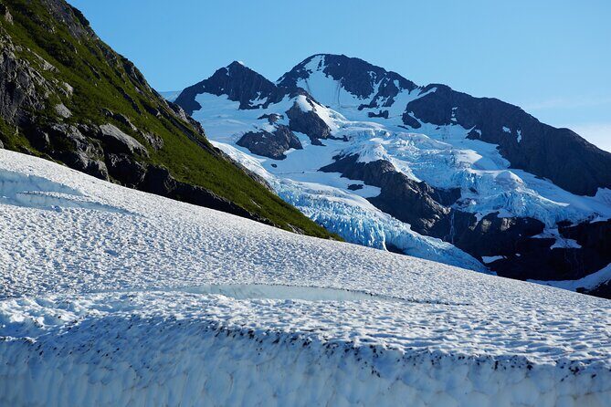 Whittier to Anchorage Post Cruise Wildlife Glacier Tour - Who Should Consider This Tour?