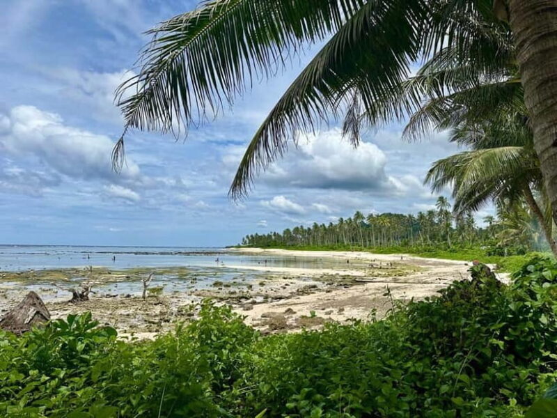 Whole Day North of Siargao Surfing Lessons - Key Points