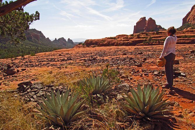 Whole-Day Sedona Vortex Experience - FAQs