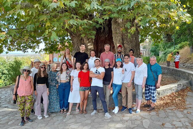 Whole day Wine Tour to Kakheti from Tbilisi - Frequently Asked Questions
