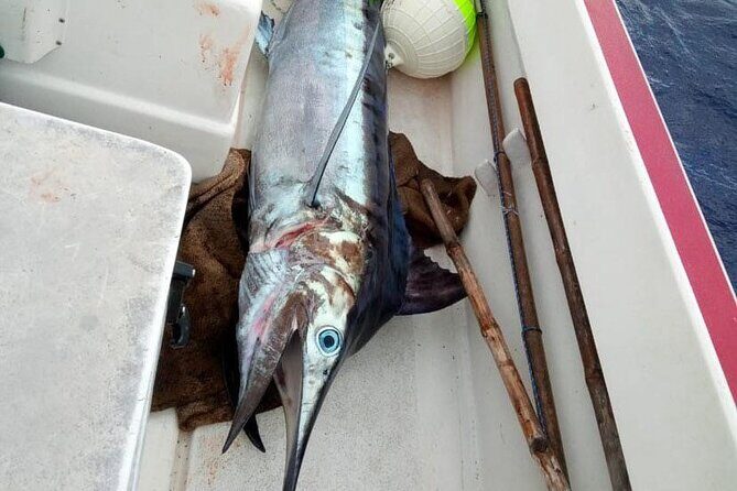 Wholesale Fishing in Poti Marara at Tahiti Teahupoo Peninsula - Final Thoughts: Is it Worth It?
