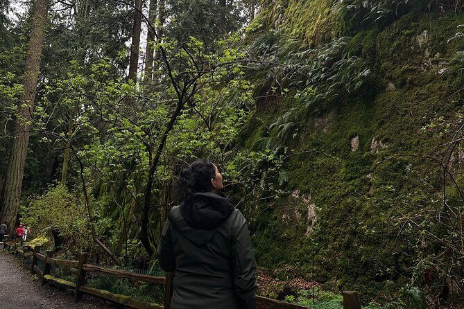Whytecliff Park Indigenous Salish Sea Walking Tour - An Introduction to the Tour Experience
