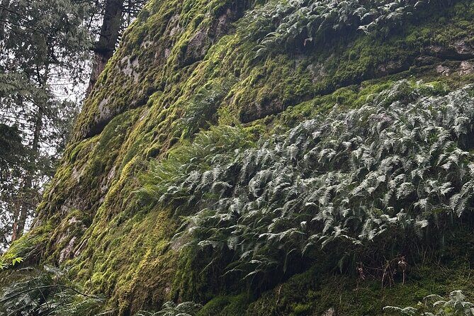 Whytecliff Park Indigenous Salish Sea Walking Tour - Key Points to Keep in Mind