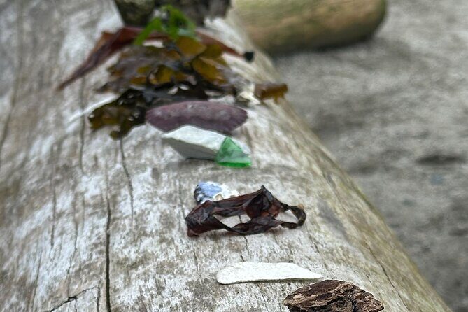 Whytecliff Park Indigenous Salish Sea Walking Tour - Why This Tour Offers Genuine Value