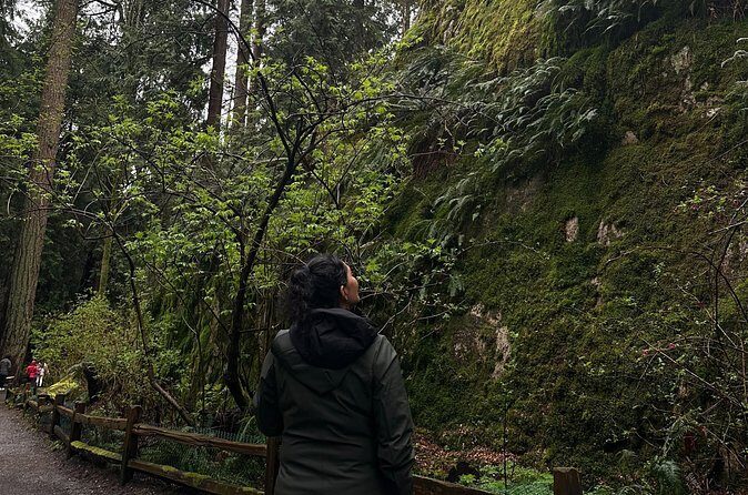 Whytecliff Park Indigenous Salish Sea Walking Tour - Who Should Consider This Tour?