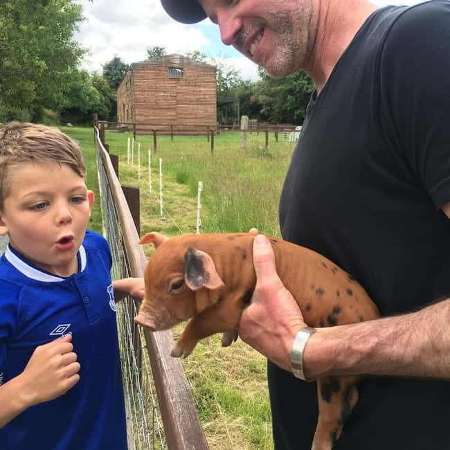 Wicklow: Greenan Farm, Museums & Maze with Animal Feeding - The Sum Up: Who Should Consider It