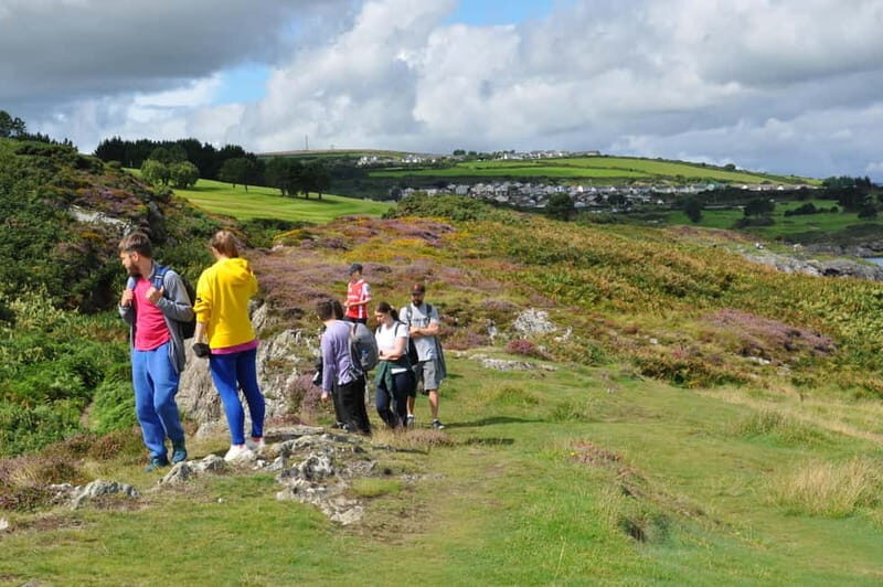 Wicklow: Guided Cliff Walk with Seals and Town Tour w/Picnic - What Makes This Tour Special