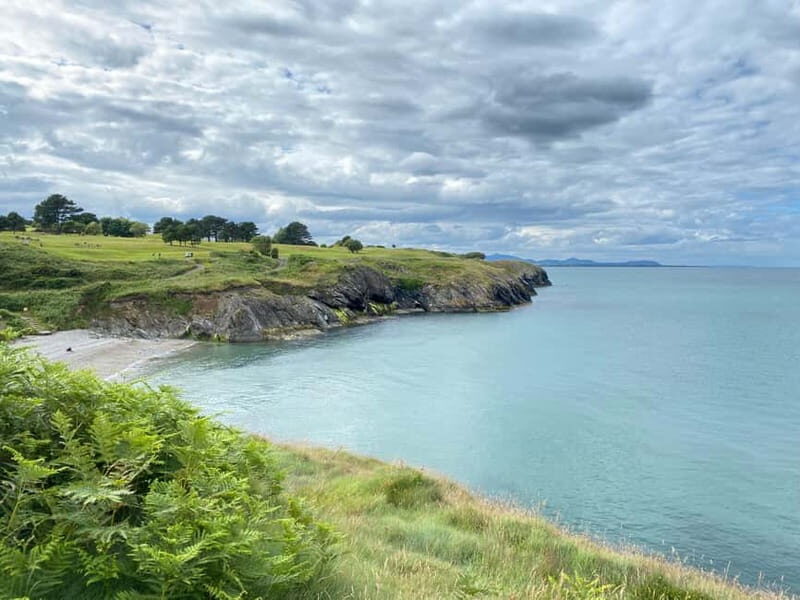 Wicklow: Guided Cliff Walk with Seals and Town Tour w/Picnic - Itinerary Breakdown