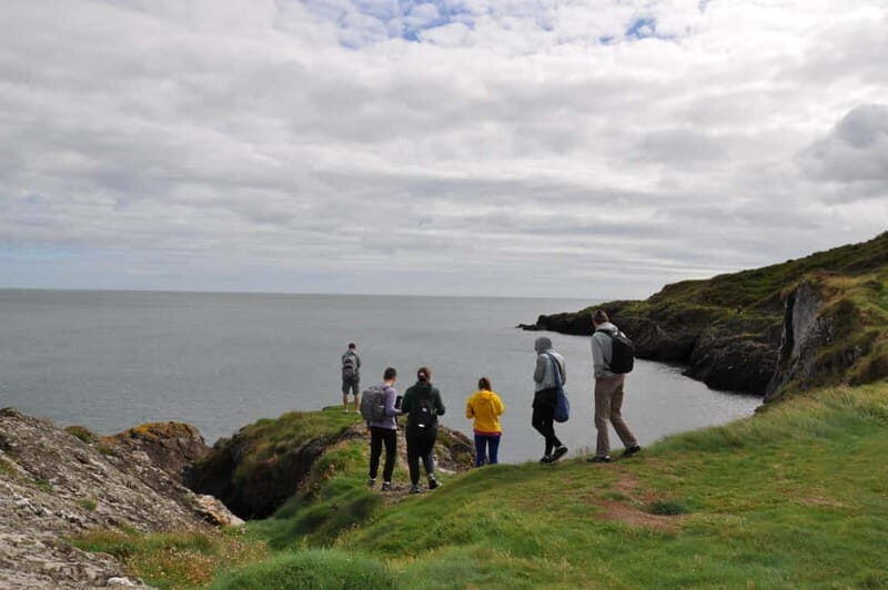 Wicklow: Guided Cliff Walk with Seals and Town Tour w/Picnic - Who Will Love It?