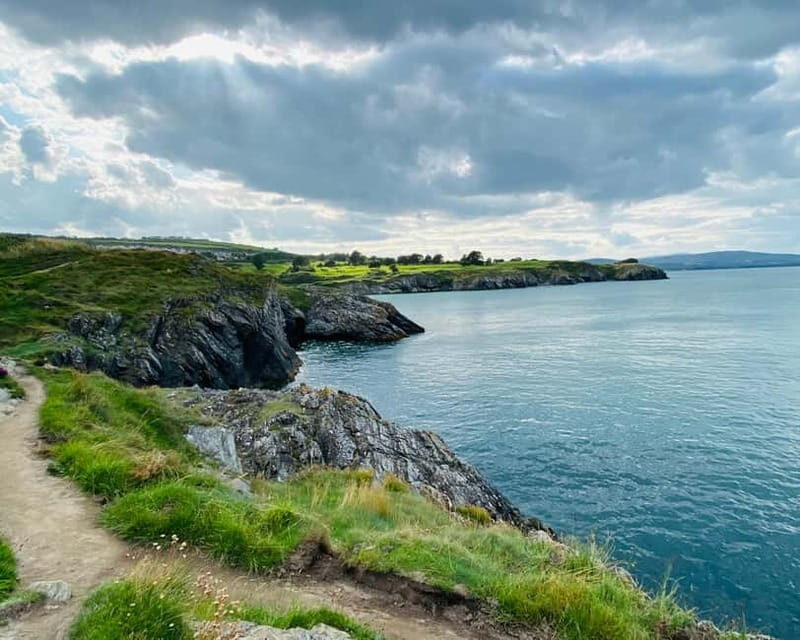 Wicklow: Guided Cliff Walk with Seals and Town Tour w/Picnic - Final Thoughts