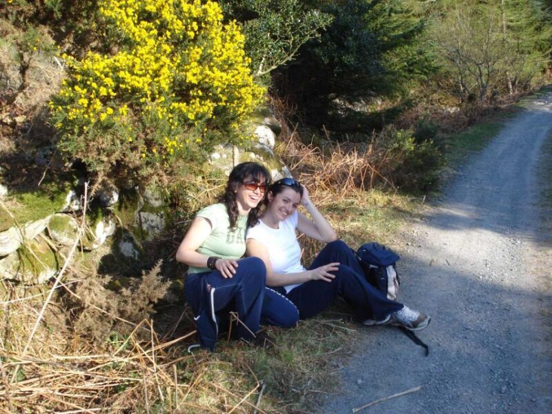 Wicklow: Private Day Tour from Dublin - An In-Depth Look at the Wicklow Private Day Tour