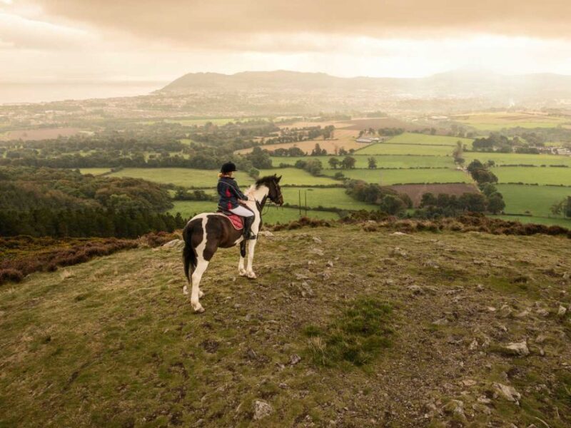 Wicklow: Private Day Tour from Dublin - FAQ