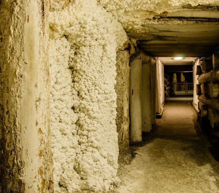 Wieliczka: Salt Mine Skip-the-Line Live Guided Tour - The Sum Up