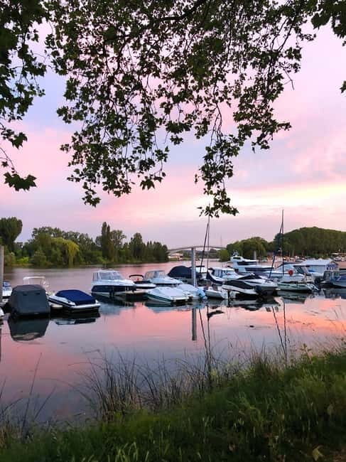 Wiesbaden: Schierstein Weekly Market & Harbor Tour - An In-Depth Look at the Wiesbaden: Schierstein Market & Harbor Tour