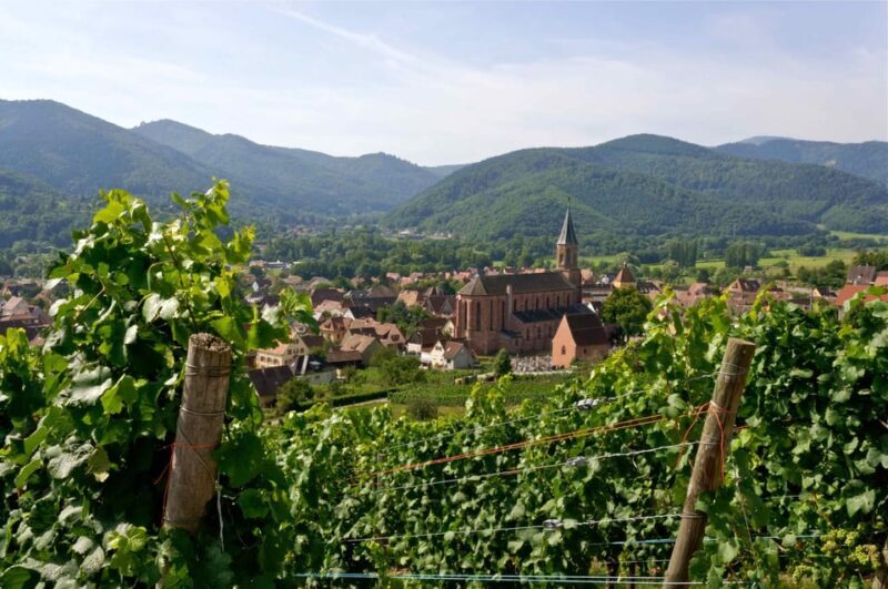Wihr-au-Val : Wine Tasting and Cellar Tour - Key Points