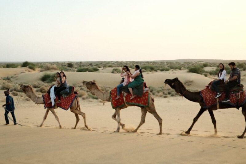 Wild 3 Day Desert Safari - The Practical Side: Logistics and Value