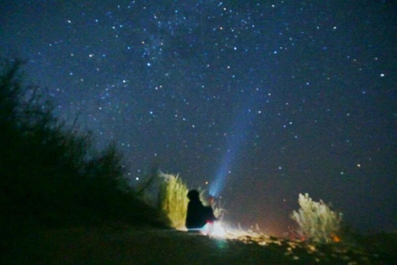 Wild 3 Day Desert Safari - The Sum Up: Who Should Consider This Tour?