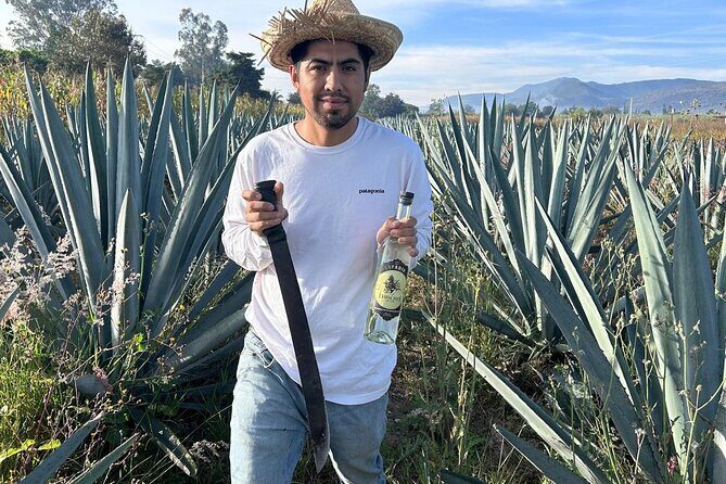 Wild Agaves Hiking Experience in Oaxaca - Practical Tips for Participants