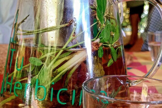 Wild and Medicinal Dominica Private Tour - Key Points