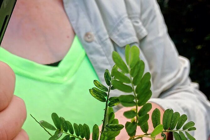 Wild and Medicinal Dominica Private Tour - Why Choose This Tour?