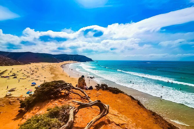 Wild and Wonderful West Coast Full Day Tour - Key Points