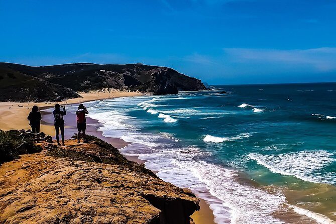 Wild and Wonderful West Coast Full Day Tour - What Makes This Tour Stand Out?