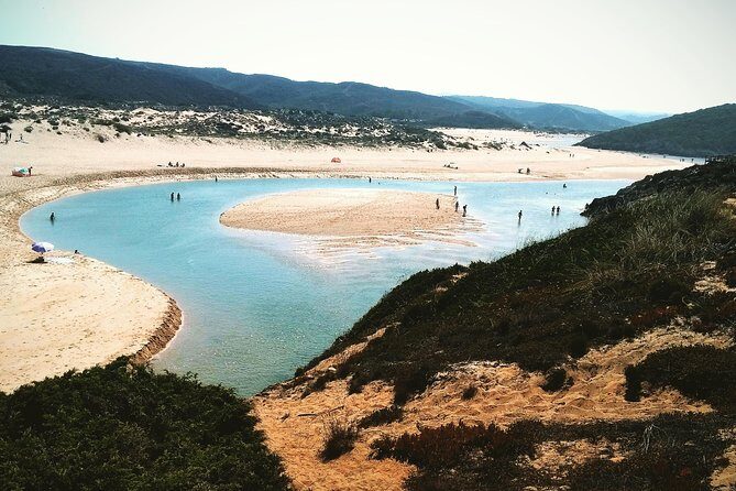 Wild and Wonderful West Coast Full Day Tour - Practical Details and What You Need to Know