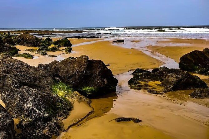 Wild and Wonderful West Coast Full Day Tour - The Sum Up: Who Will Love This Tour?