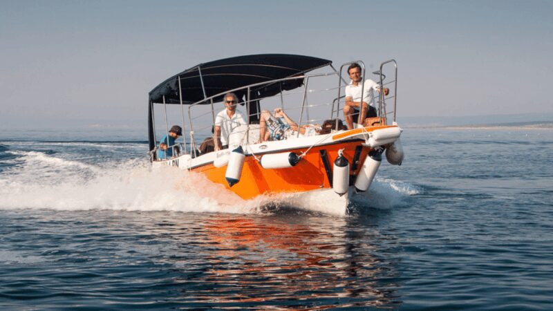 Wild Bays and Plavnik Island: A whole day private boat tour - Who Will Love This Tour?