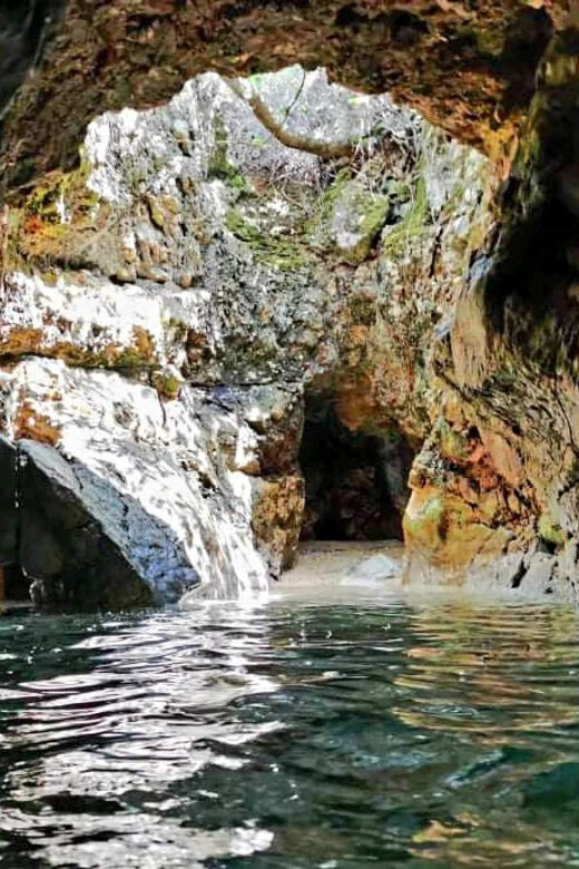 Wild Bays and Plavnik Island: A whole day private boat tour - FAQs