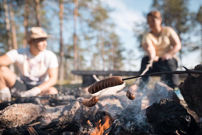 Wild Berries and Mushroom picking tour - Exploring Rovaniemi’s Wild Berries and Mushrooms: An Authentic Foraging Experience