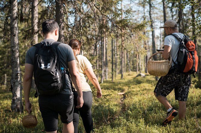 Wild Berries and Mushroom picking tour - What to Expect from the Foraging Adventure
