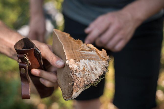 Wild Berries and Mushroom picking tour - Frequently Asked Questions