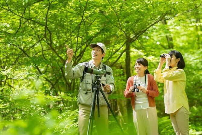 Wild Bird Sanctuary Forest Guided Tour in Nagano - Wild Bird Sanctuary Forest Guided Tour in Nagano: A Close-Up with Nature in Karuizawa