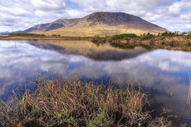 Wild Brown Trout fishing. Lough Corrib. French speaking Ghillie/Guide. Full day. - Insights from Past Participants