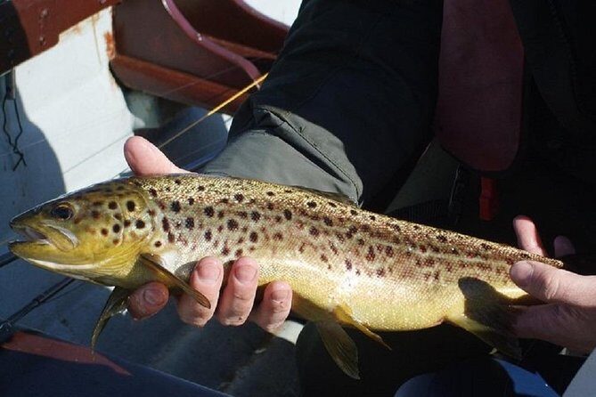 Wild Brown Trout fishing. Lough Corrib. French speaking Ghillie/Guide. Full day. - FAQ