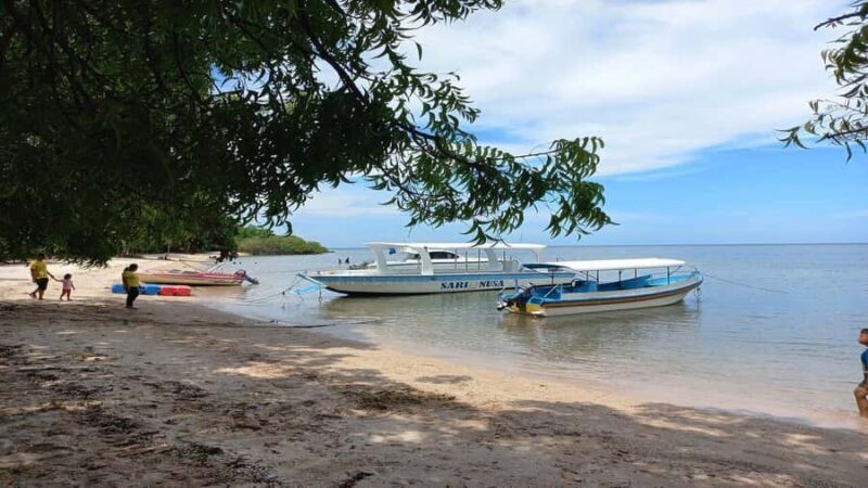 Wild Day Tour: Baluran National Park & Tabuhan Island - The Guide and Conservation Impact