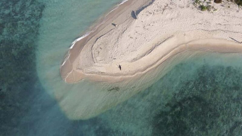 Wild Day Tour: Baluran National Park & Tabuhan Island - Logistical Details and Practicalities