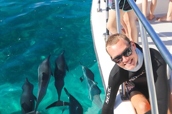 Wild Dolphin Swim, Turtle, Whale Safari with Guided Snorkeling - The Experience: What Makes It Special