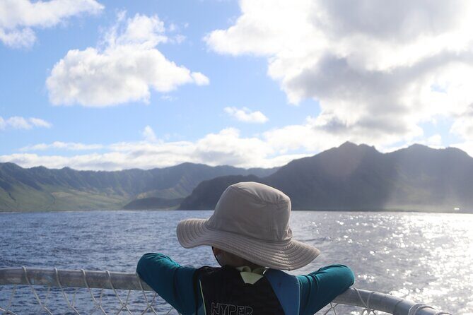 Wild Dolphin Swim, Turtle, Whale Safari with Guided Snorkeling - FAQ