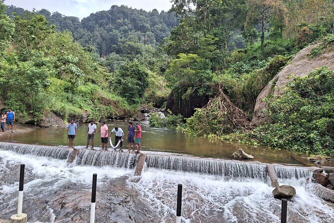 Wild Elephant Anakulam & Waterfalls Tour(munnar valley Trekking) - Final Thoughts