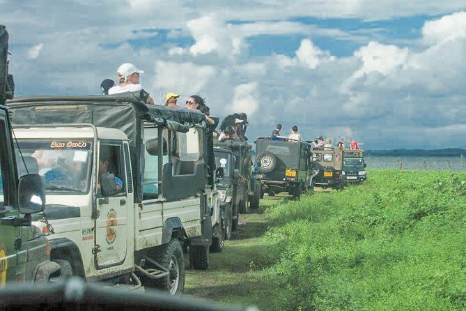 Wild Elephant Safari in Minneriya National Park - The Sum Up