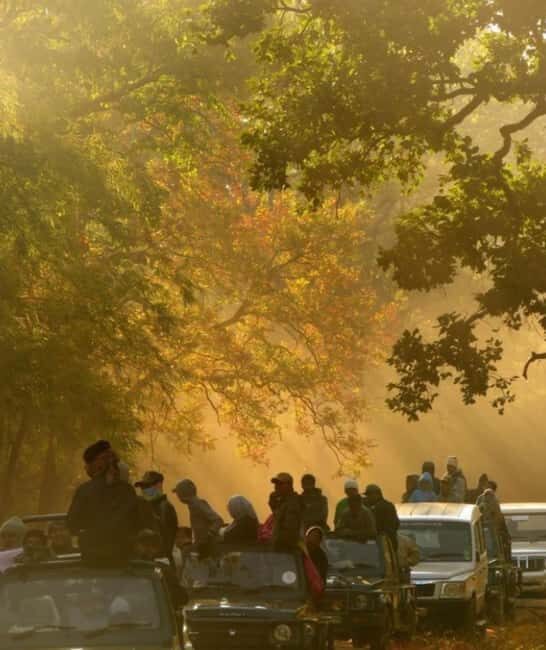 Wild Escape: 3 Days Ranthambore Safari Adventure from Delhi - Key Points