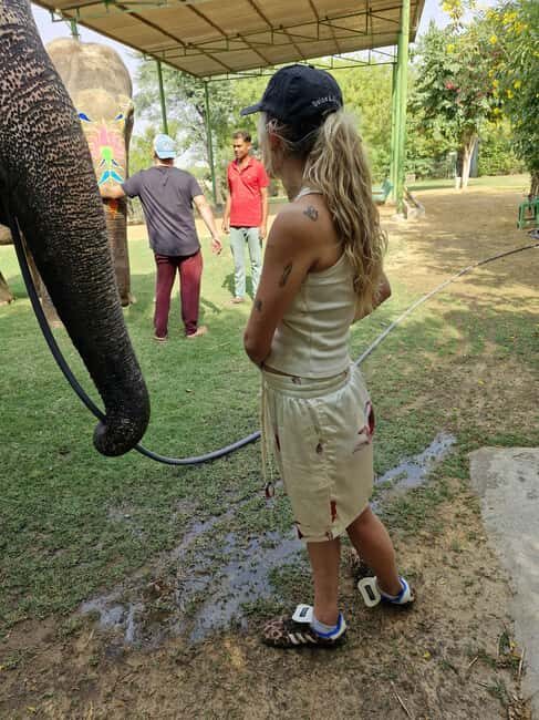 Wild Escape: 3 Days Ranthambore Safari Adventure from Delhi - The Itinerary Breakdown