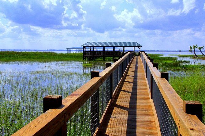 Wild Florida Adventure Package Tour with Transportation - Key Points