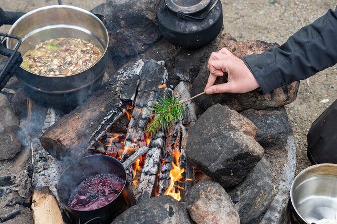 Wild Food & Foraging Hike with Open Fire Lunch - Key Points